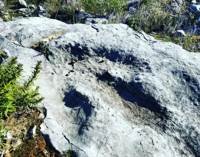 Serras de Aire e Candeeiros: Nature & Geology Exploration - Dinosaur Footprints and Ancient Evidence