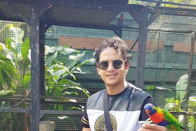 Service DE Transfer Airport Hotels - Introduction: What Makes This Transfer Service Stand Out