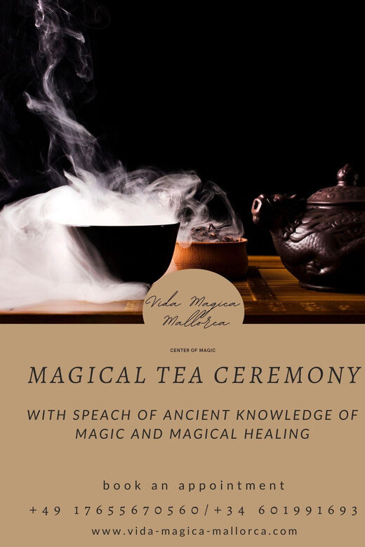 Ses Salines Vida Magica Visit Center of Magic & tea ceremony - Key Points