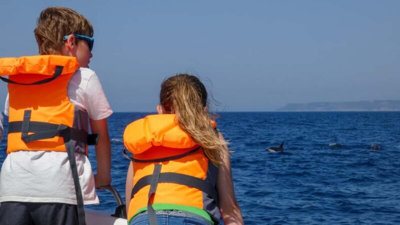 Sesimbra: Arrábida Dolphin and Whale Watching with Biologist - FAQs