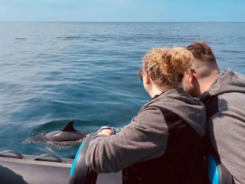 Sesimbra: Arrábida Dolphin Watching Boat Tour with Biologist - The Detailed Itinerary Breakdown