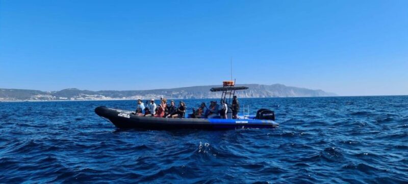 Sesimbra: Arrábida Dolphin Watching Boat Tour with Biologist - Final Thoughts: Is This Tour Worth It?