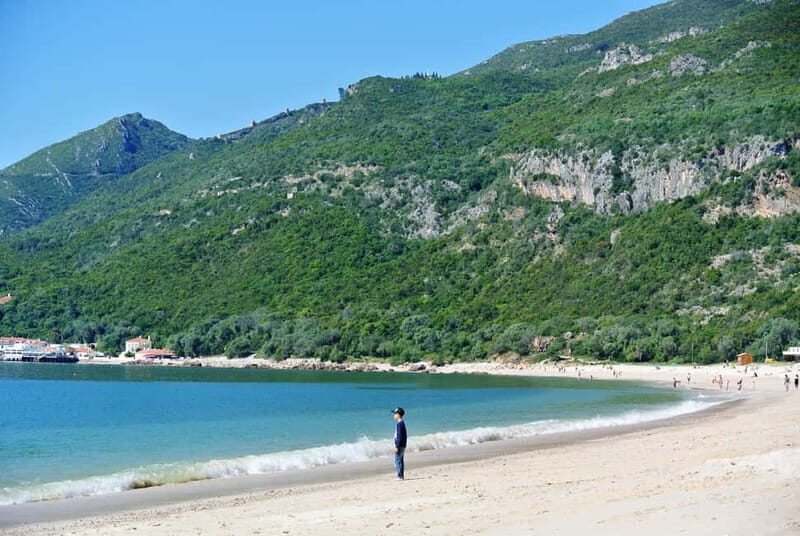 Sesimbra & Arrábida National Park Tour with 5 Wines Tasting - Transportation, Group Size, and Price Value