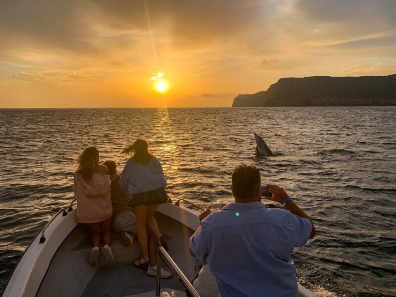 Sesimbra: Arrábida Natural Park Cabo Espichel Sunset Tour - Who Would Love This Tour?