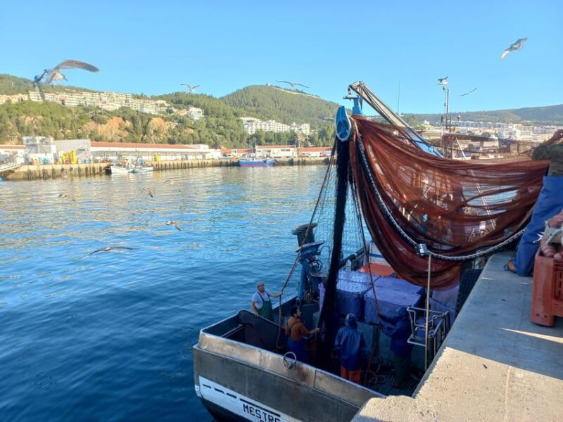 Sesimbra/Cabo Espichel/Aldeia do Meco Tour - Final Thoughts