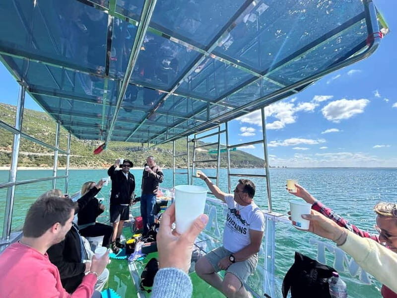 Sesimbra: Clear Boat Experience - Final Verdict: Who Will Love This Tour?