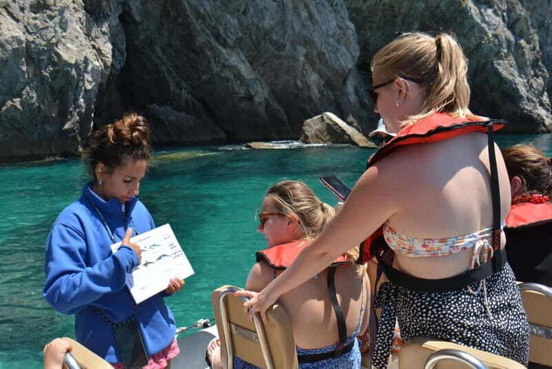 Sesimbra: Dolphin and Whales Watching with Biologist Guide - An Authentic Look at Sesimbra’s Dolphin and Whale Tour