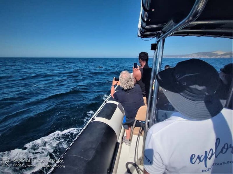 Sesimbra: Dolphin and Whales Watching with Biologist Guide - The Real Value for Travelers