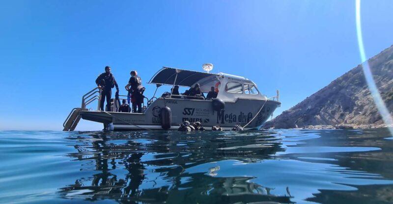Sesimbra: Double Dive on a Marine reserve - Key Points