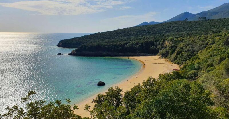Sesimbra e Arrábida Natural Park: 1 Day Tour & Wine Tasting - Introduction