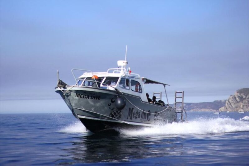 Sesimbra: First Scuba Diving Experience in the Ocean - The Sum Up: Who Will Love This Experience?
