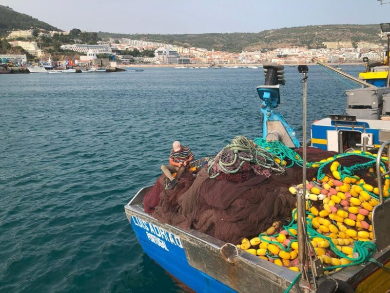 Sesimbra: Half-Day Tour to Arrabida with Wine Tasting - The Sum Up: Who Is This Tour Perfect For?