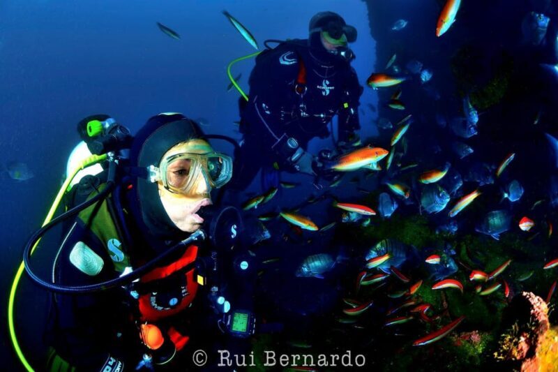 Sesimbra: Scuba Diving Experience for Beginners - An Authentic Look at the Sesimbra Scuba Tour