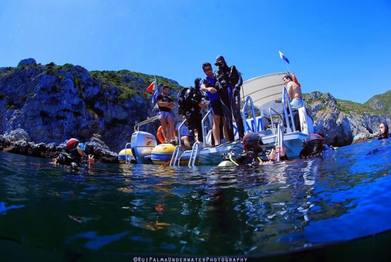 Sesimbra: Scuba Diving Experience for Beginners - The Sum Up