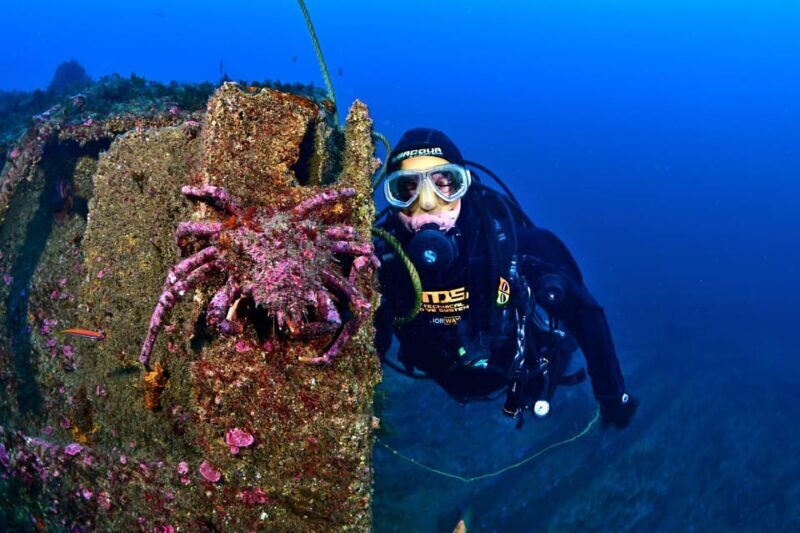 Sesimbra: Scuba Diving Experience for Beginners - FAQ about the Sesimbra Beginner Scuba Tour