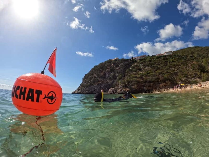 Sesimbra:Snorkeling experience in Marine Reserve with photos - Introduction