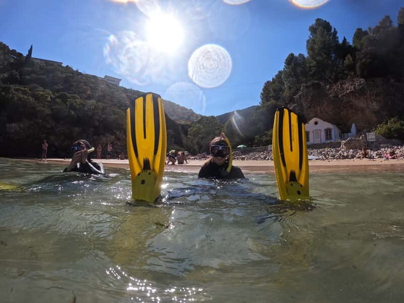 Sesimbra:Snorkeling experience in Marine Reserve with photos - Key Points
