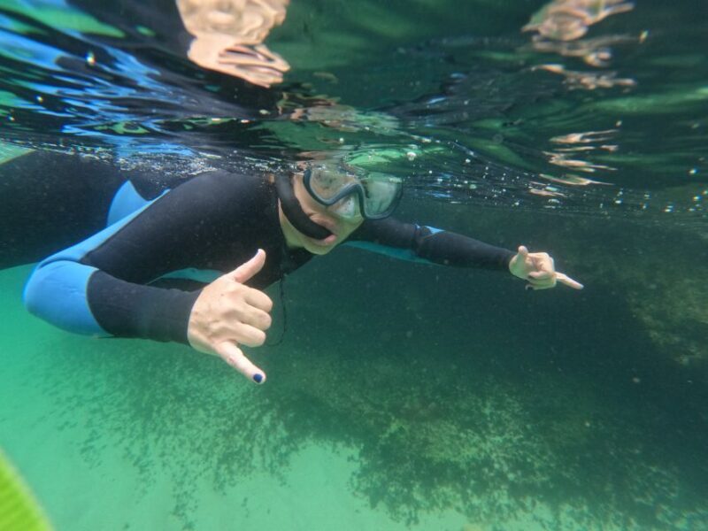 Sesimbra:Snorkeling experience in Marine Reserve with photos - FAQ
