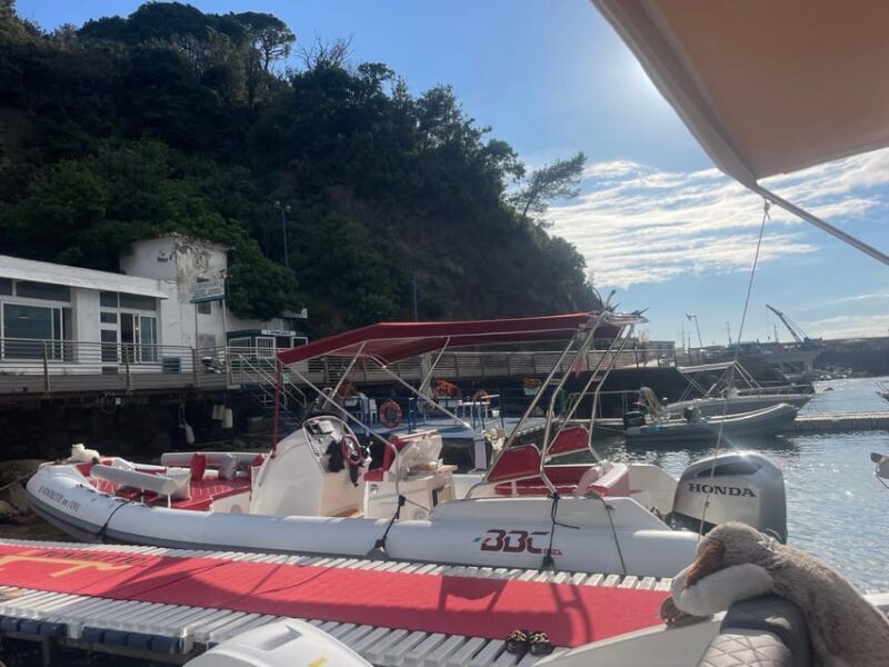 SESTRI LEVANTE: BOAT RENTAL, DAILY CRUISES - FAQ