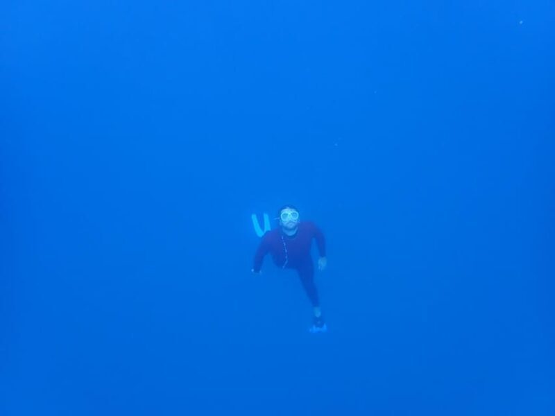 Sestri Levante: SUP & Snorkeling Experience - Analyzing the Value
