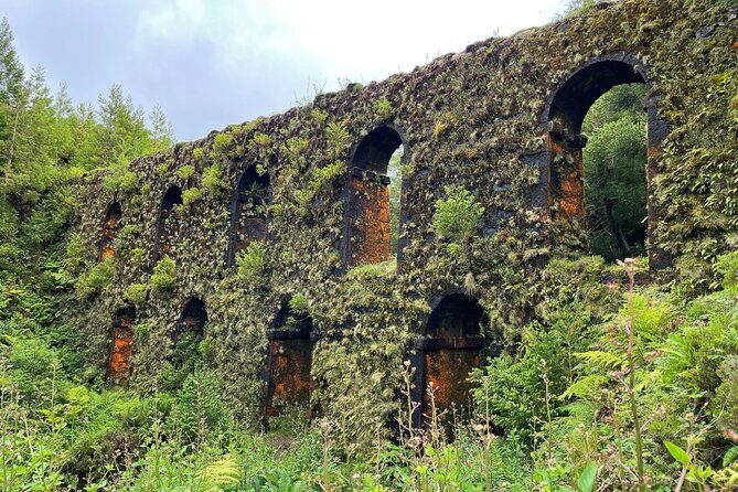 Sete Cidades and Lagoa do Fogo Volcanic Lakes Guided Tour - How this Tour Compares in Value