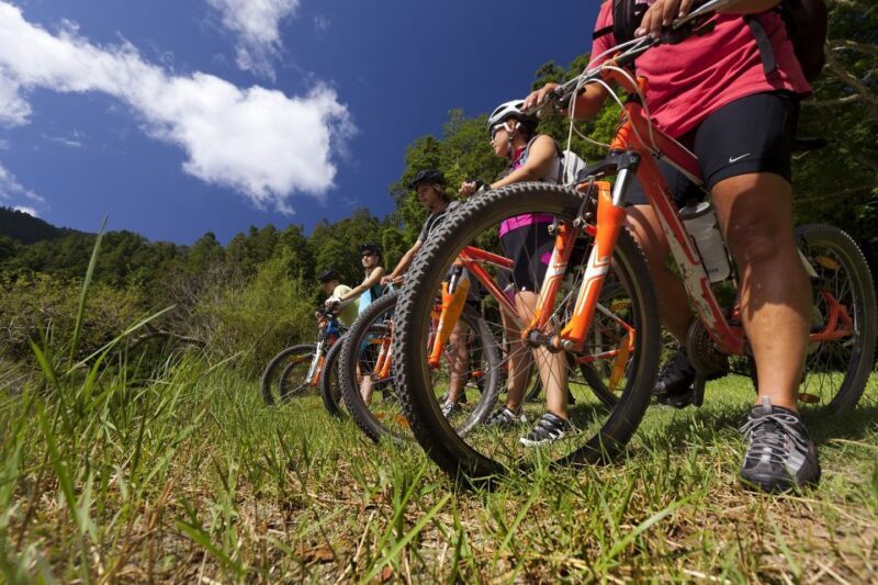 Sete Cidades Bike Rental - Summary of the Experience