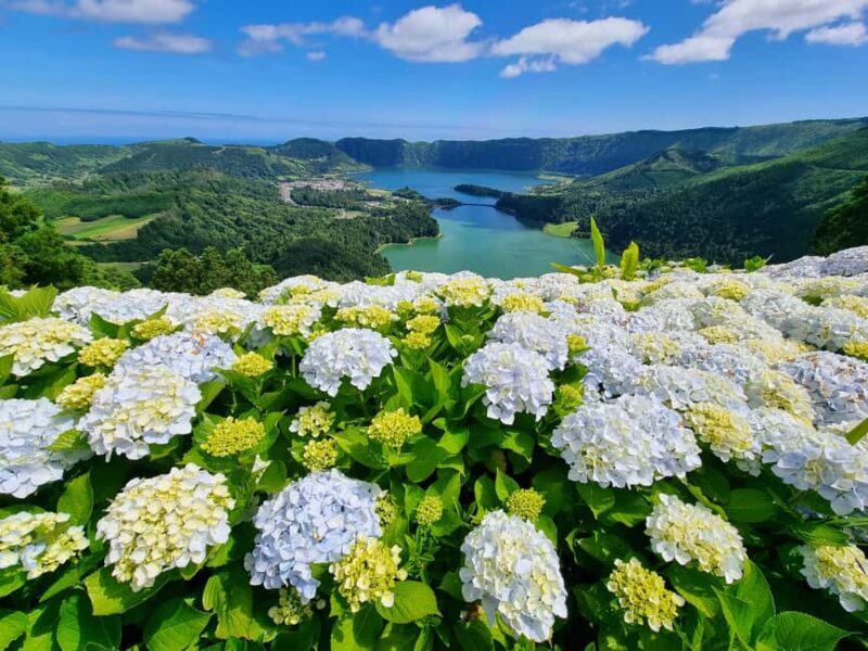 Sete Cidades / Lagoa do Fogo - Full Day Tour - Authentic Experiences and Unmissable Views