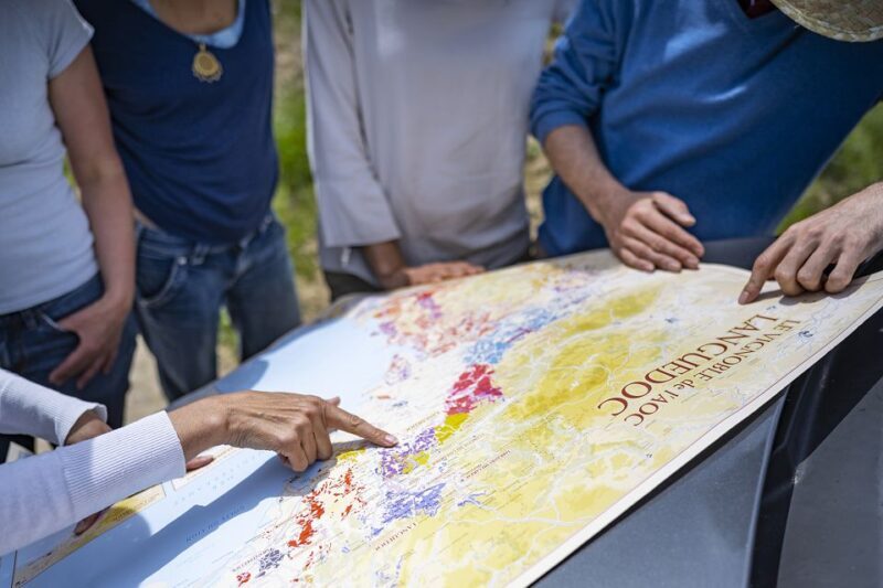 Sète: HalfDay Wine Tour - Practical Details & Value