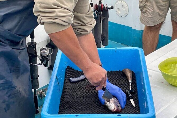 Setouchi Fishing and Culinary Adventure - Exploring the Itinerary