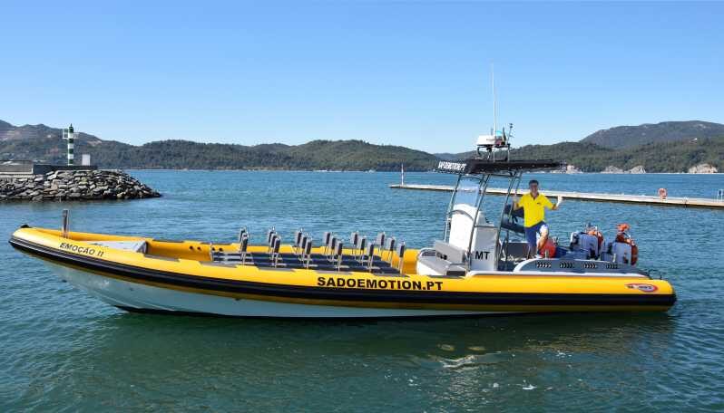 Setúbal and Tróia: Dolphin Watching and Arrábida Bays - An Authentic Marine Adventure in Portugal’s Setúbal District