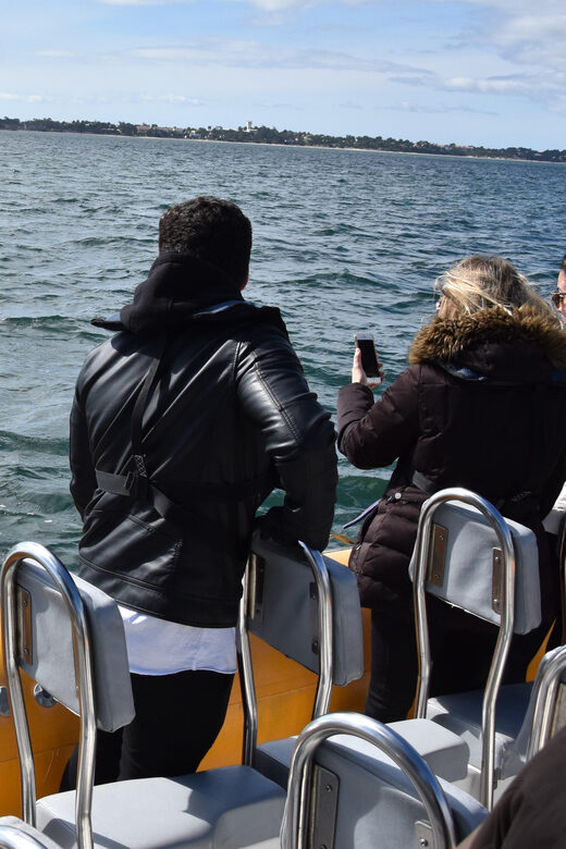 Setúbal and Tróia: Dolphin Watching and Arrábida Bays - Value for Money and Practical Considerations