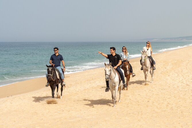 Setubal & Comporta Trip with Horseback Riding from Lisbon - An In-Depth Look at the Tour Experience
