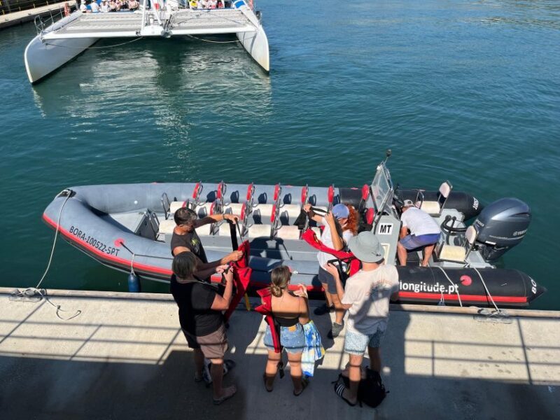 Setúbal: Dolphin-Watching Boat Tour - Why This Tour Stands Out
