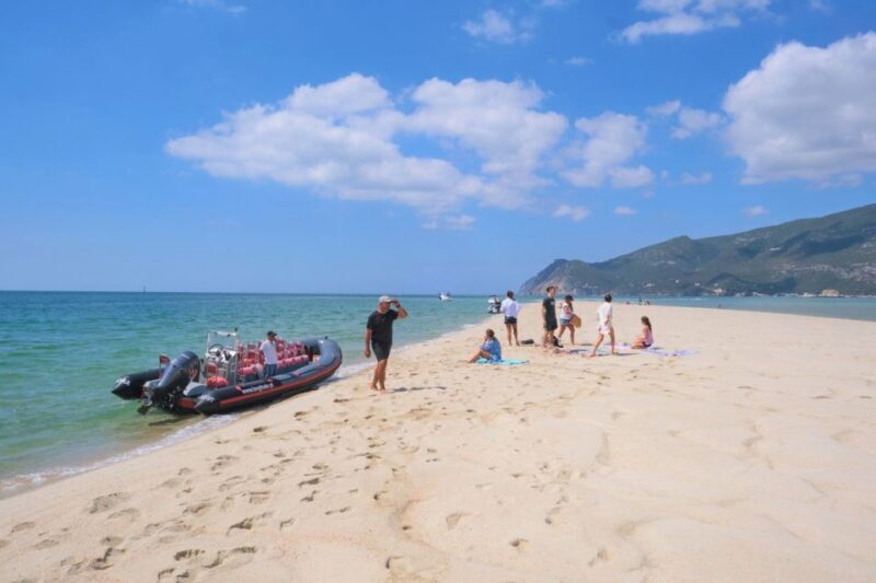 Setúbal: Dolphin-Watching Boat Tour - Final Words