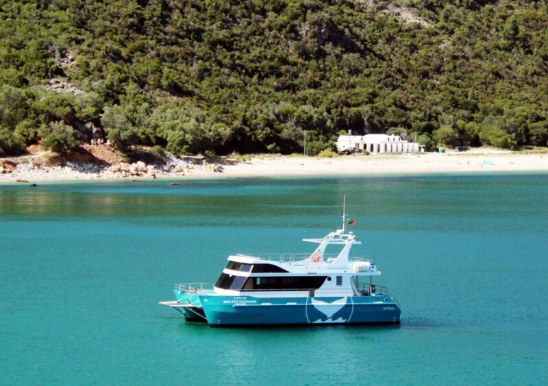 Setúbal: Dolphin Watching Tour - Itinerary Breakdown