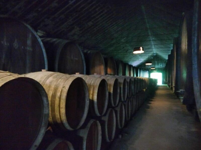 Setúbal: Market, Tiles and Wine (From Lisbon) - Whats Included and What to Keep in Mind