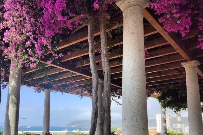 Setúbal Private Walking Tour Off-the-Beaten-Path - Authenticity and Guide Quality