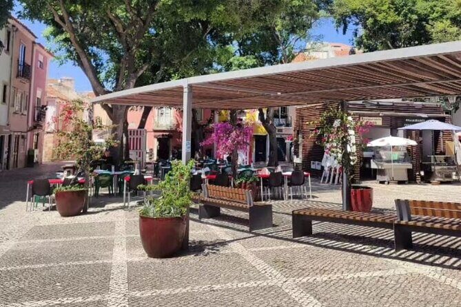 Setúbal Private Walking Tour Off-the-Beaten-Path - Who Would Enjoy This Tour?