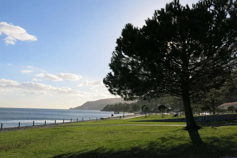 Setúbal: Private Walking Tour with Tastings - Key Points
