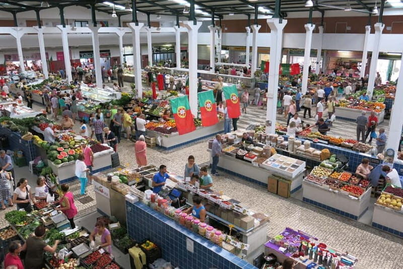 Setúbal: Private Walking Tour with Tastings - Why Choose This Tour?