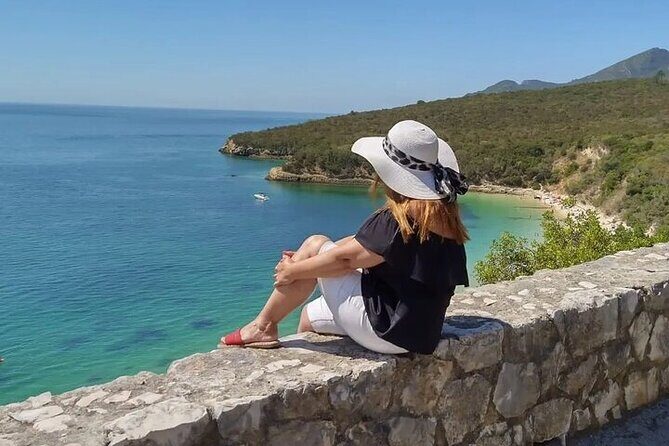 Setubal Private Wine Tour, Food Tasting, Beaches, Palaces and Art - Who Is This Tour Best For?