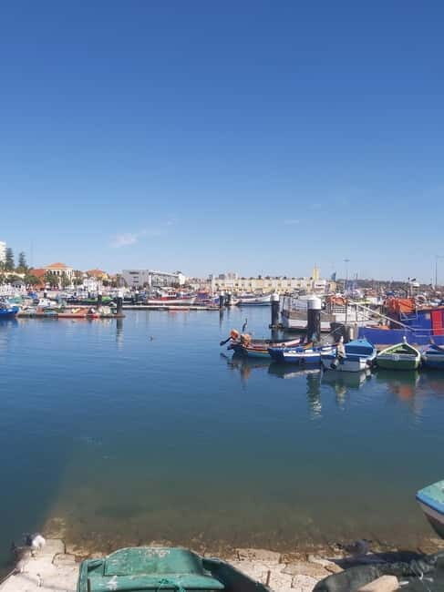 Setúbal Secrets& Arrabida Mountain Magic: FromLisbon|PRIVATE - FAQ