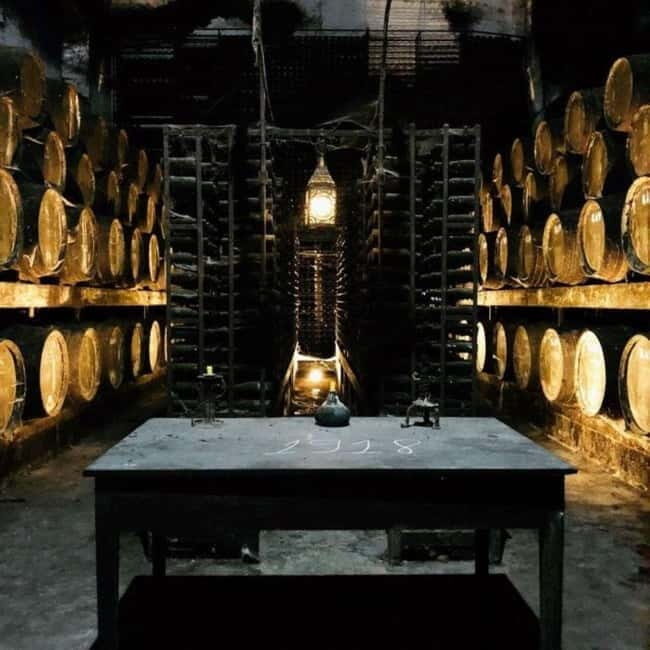Setúbal Wine Tour: Discover the Moscatel Wine - Key Points