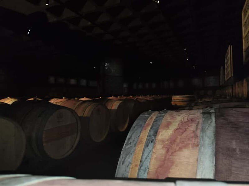 Setúbal Wine Tour: Discover the Moscatel Wine - Final Thoughts: Who Will Love This Tour?