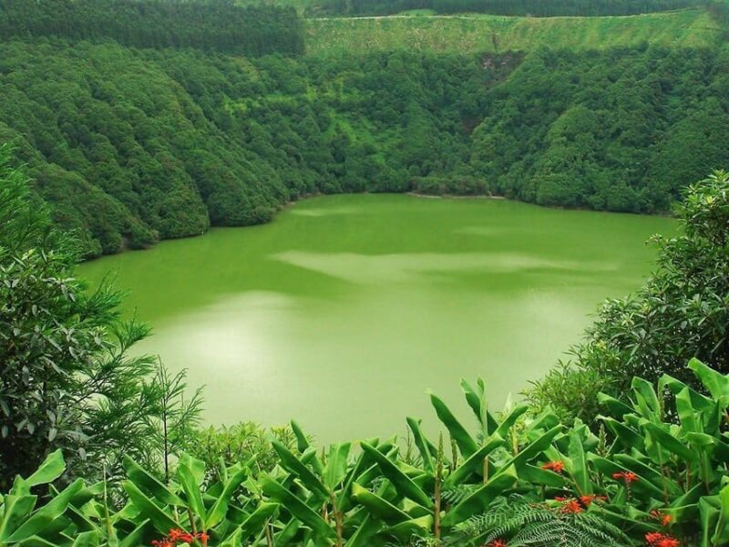 Seven Citys Tour: Sete Cidades Crater Lake Shore Excursion - Why Choose the Seven Citys Tour?