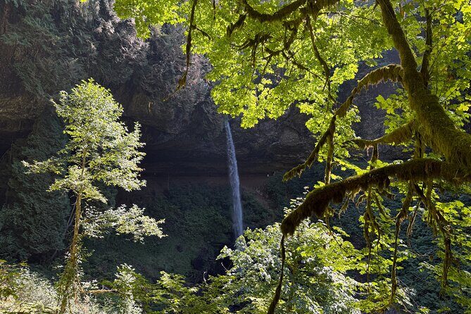 Seven Falls Hiking Tour at Silver Falls State Park - The Bottom Line