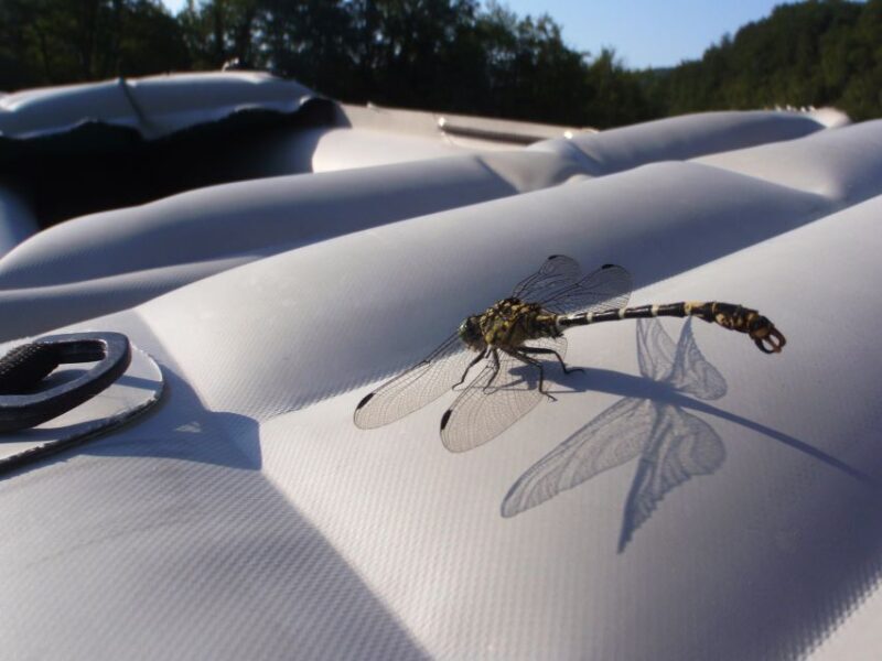 Severin na Kupi: Canoeing and Kayaking on the Kupa River - Who Should Consider This Tour?