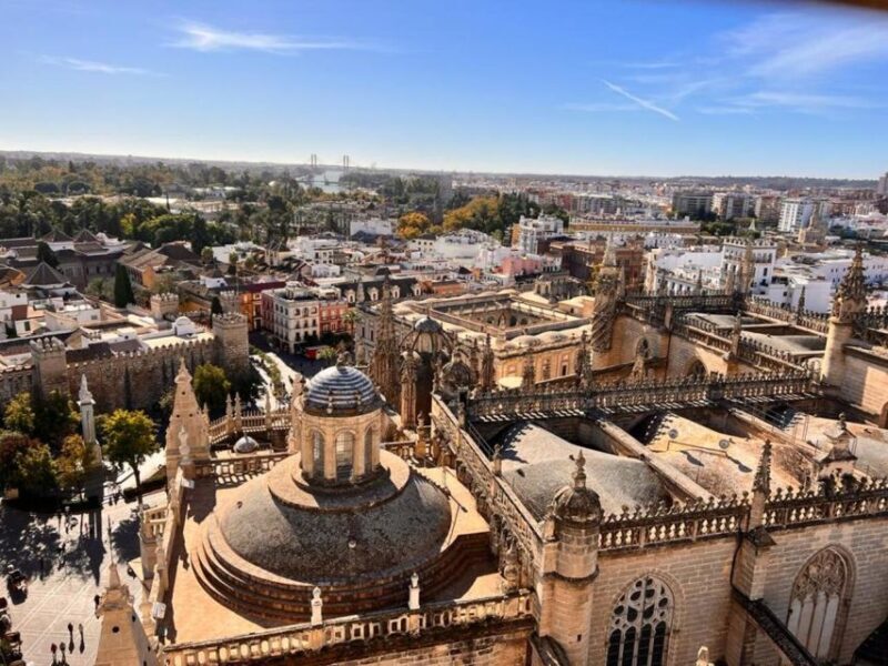 Sevilla: Alcazar and Cathedral Private Tour - An Authentic Look at Sevilles Most Iconic Sites