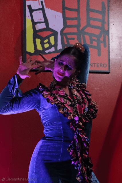 Sevilla: Flamenco Show at Tablao Álvarez Quintero - Who Will Love This Experience?