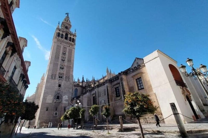 Sevilla Private Full-Day Tour from Malaga - The Itinerary: What to Expect on Your Day in Seville